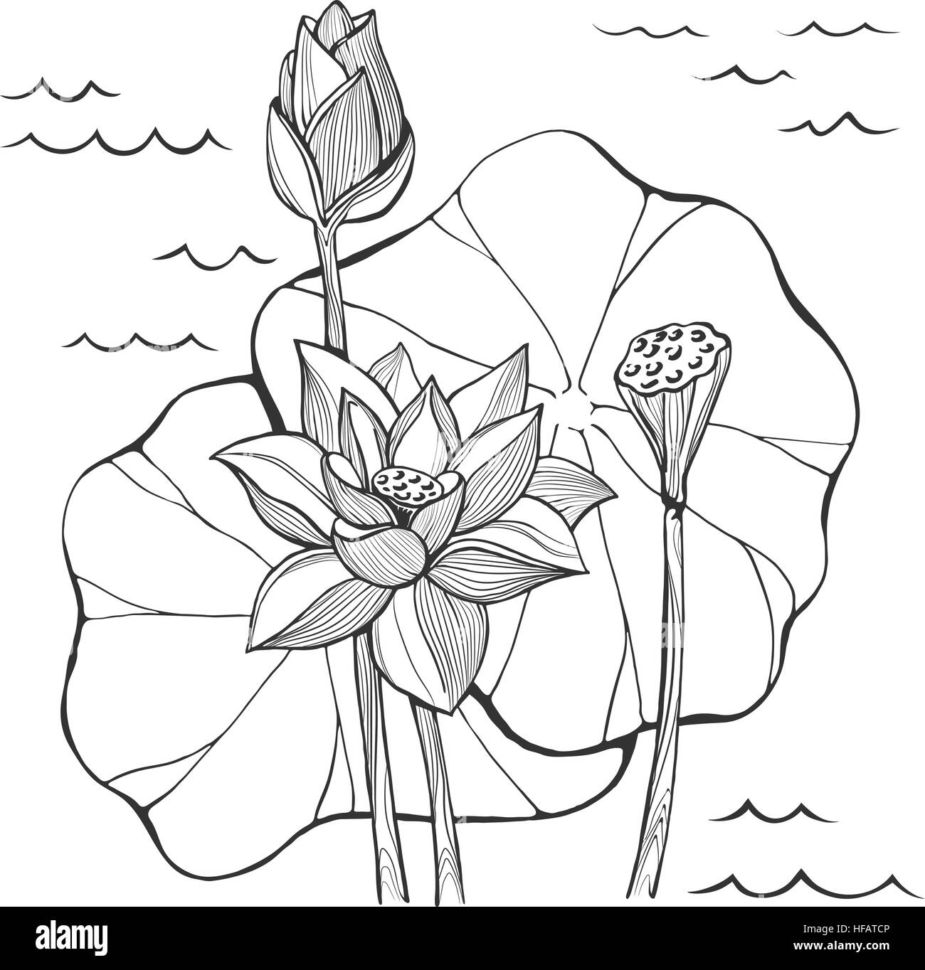 Blooming flowers vector pattern Black and White Stock Photos & Images ...