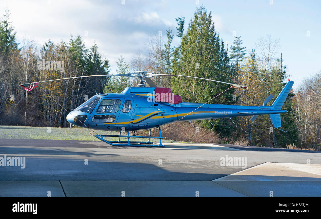Aerospatiale AS-350D AStar Mk3 Owner: Vertical Air Ltd Vancouver ...