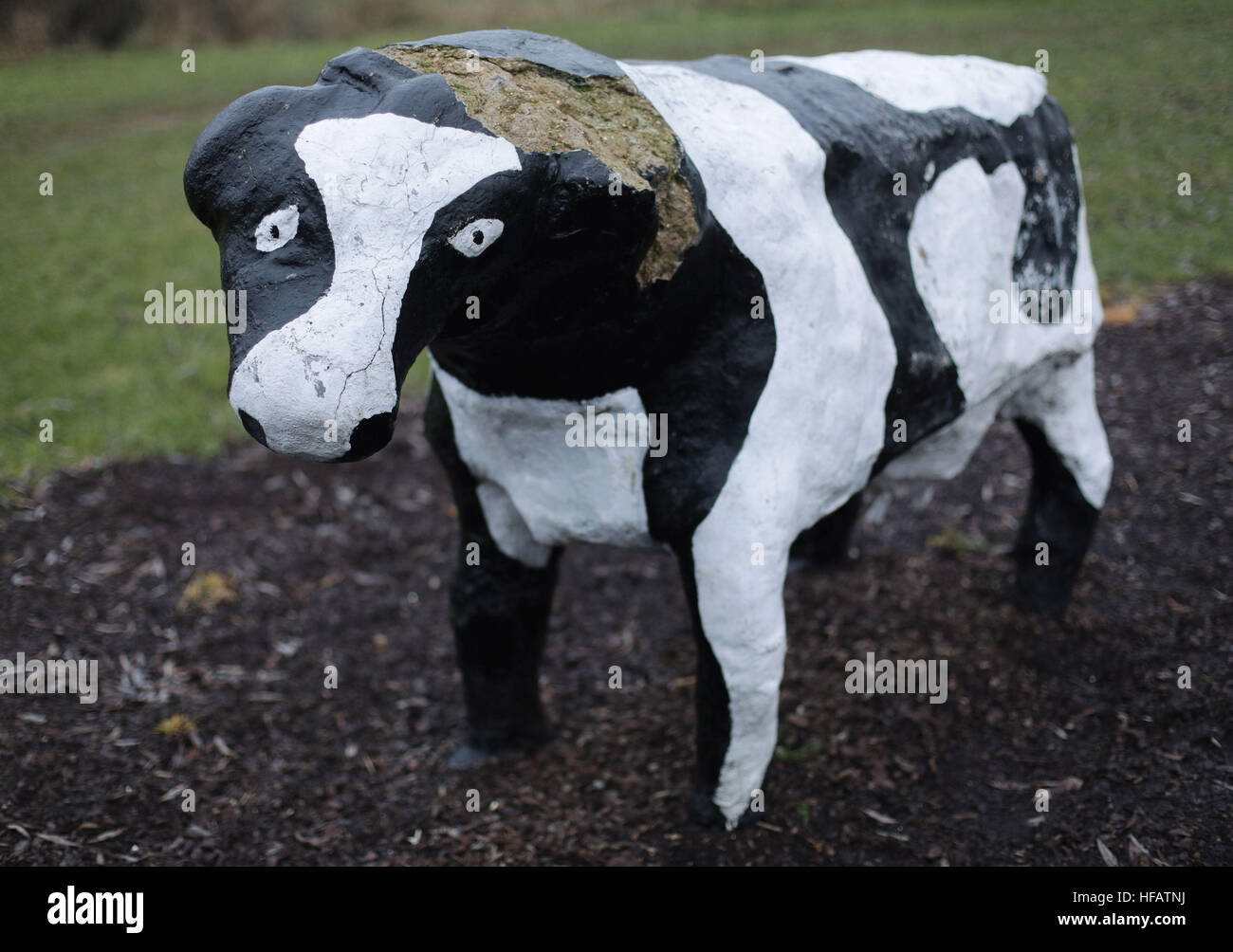 Replica concrete cows in Bancroft, Milton Keynes, as the town will ...