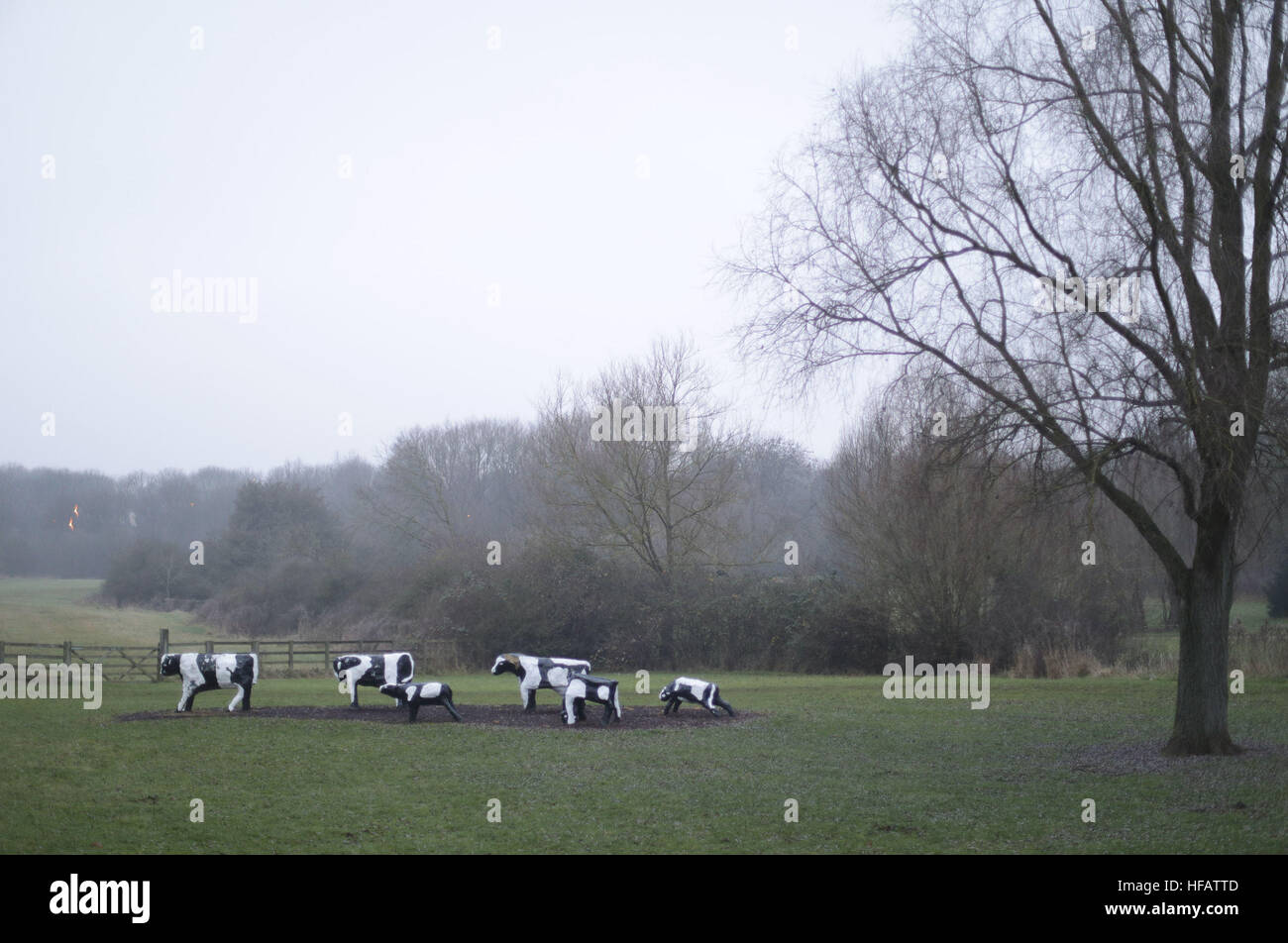 Replica concrete cows in Bancroft, Milton Keynes, as the town will ...