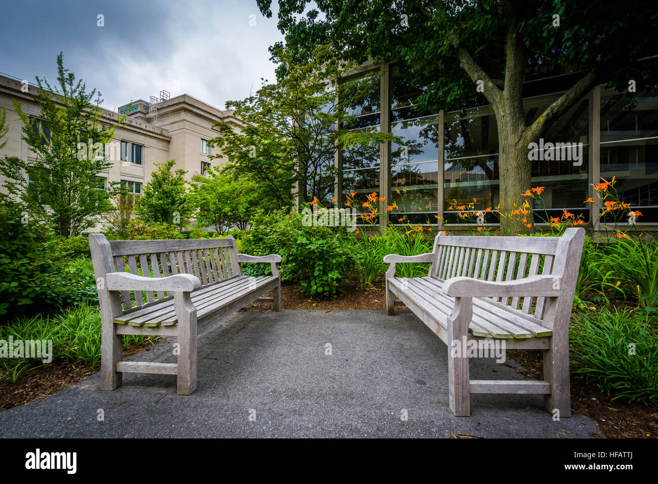 Benches and buildings at Harvard University, in Cambridge ...