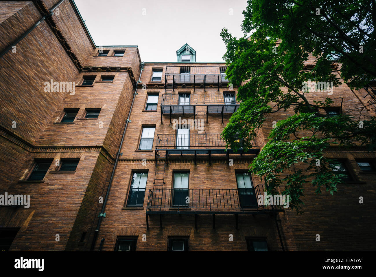 Brick building at Harvard University, in Cambridge, Massachusetts Stock ...