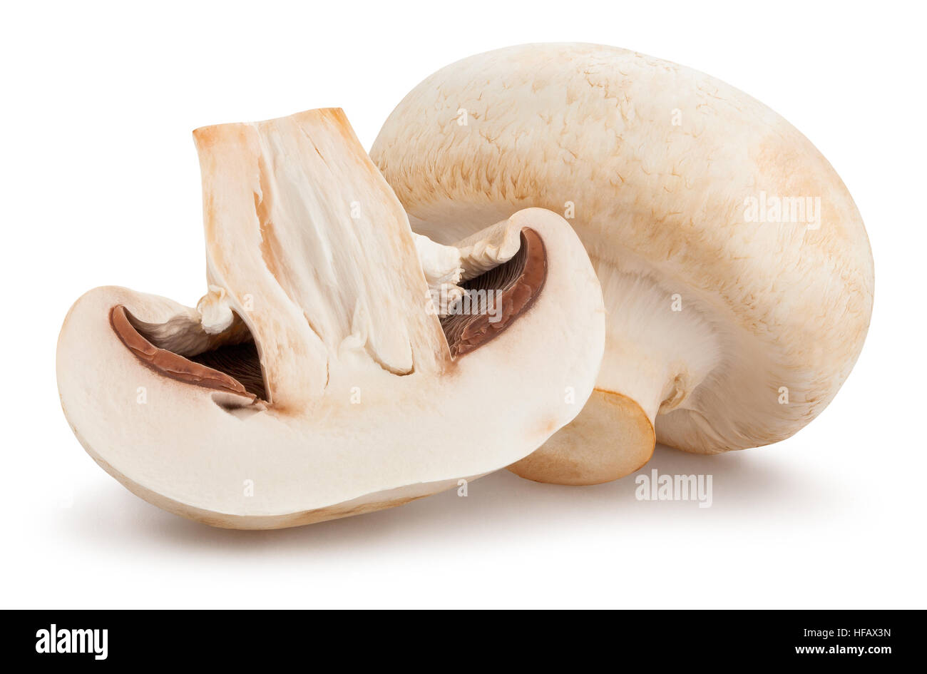sliced mushroom isolated Stock Photo - Alamy sliced mushroom isolated Stock Photo - Alamy