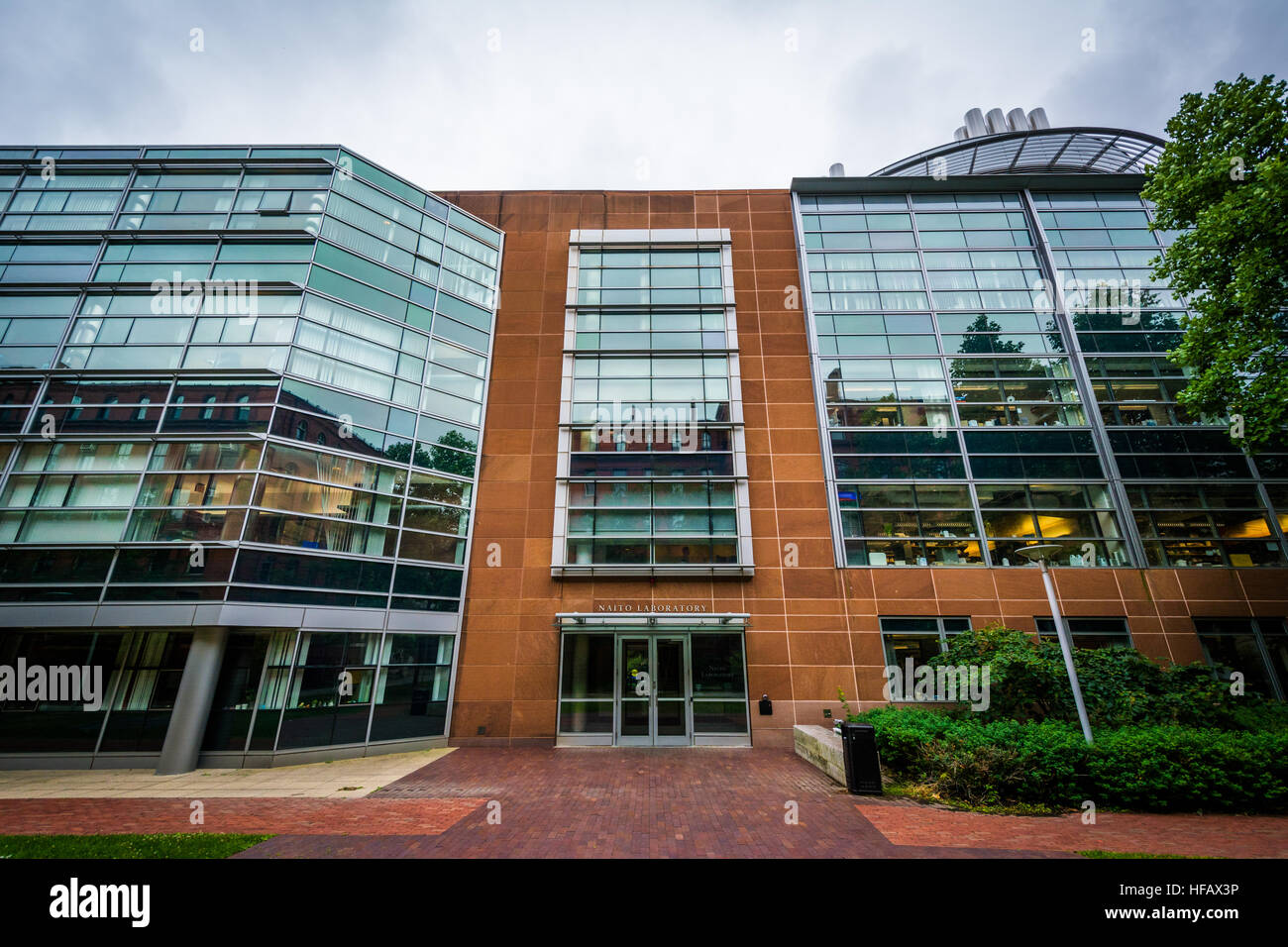The Naito Laboratory, at Harvard University, in Cambridge ...
