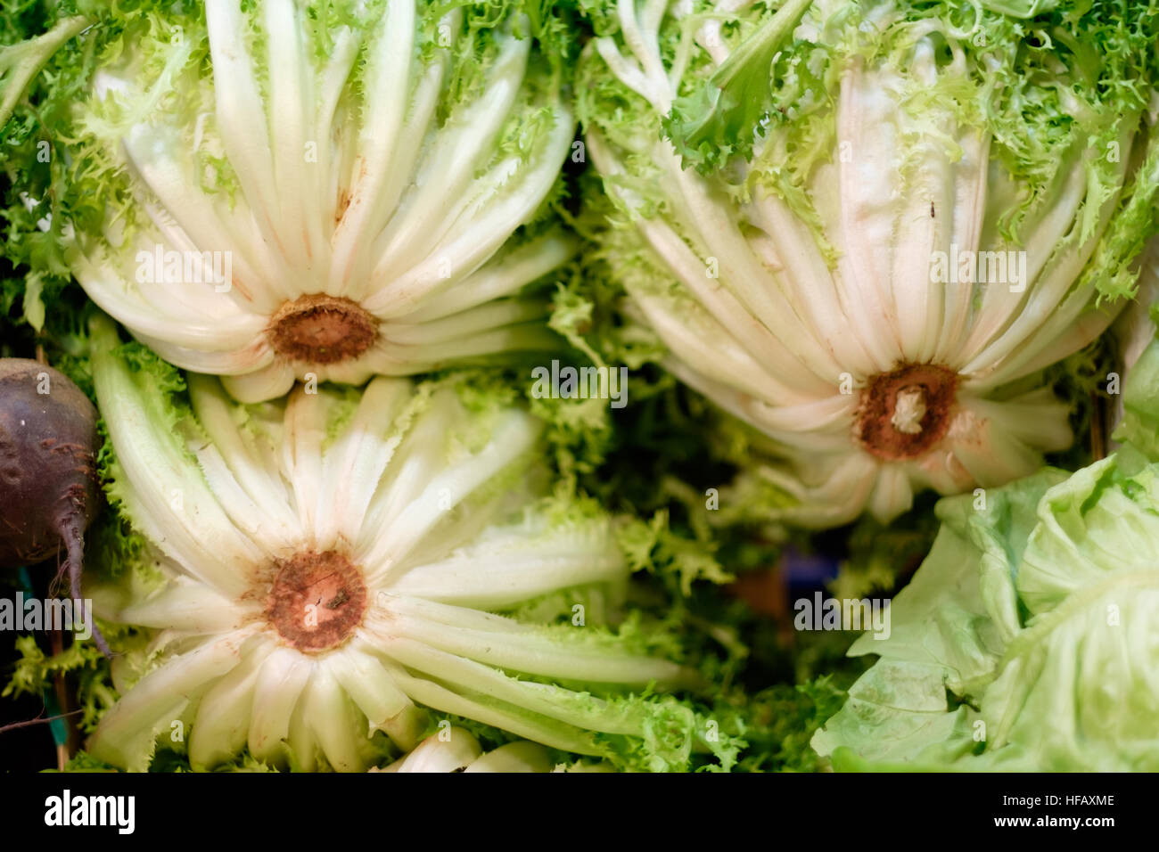 Beautiful lettuce hi-res stock photography and images - Alamy