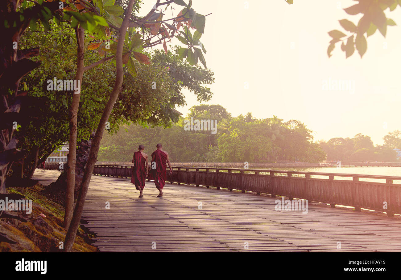 Monks walking by a lake in Yangon Stock Photo - Alamy