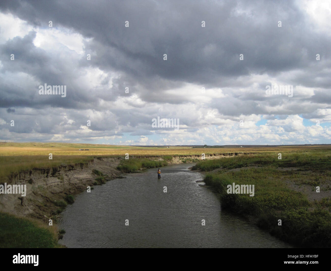 A typical day spent in the field involves gathering data, observing ...