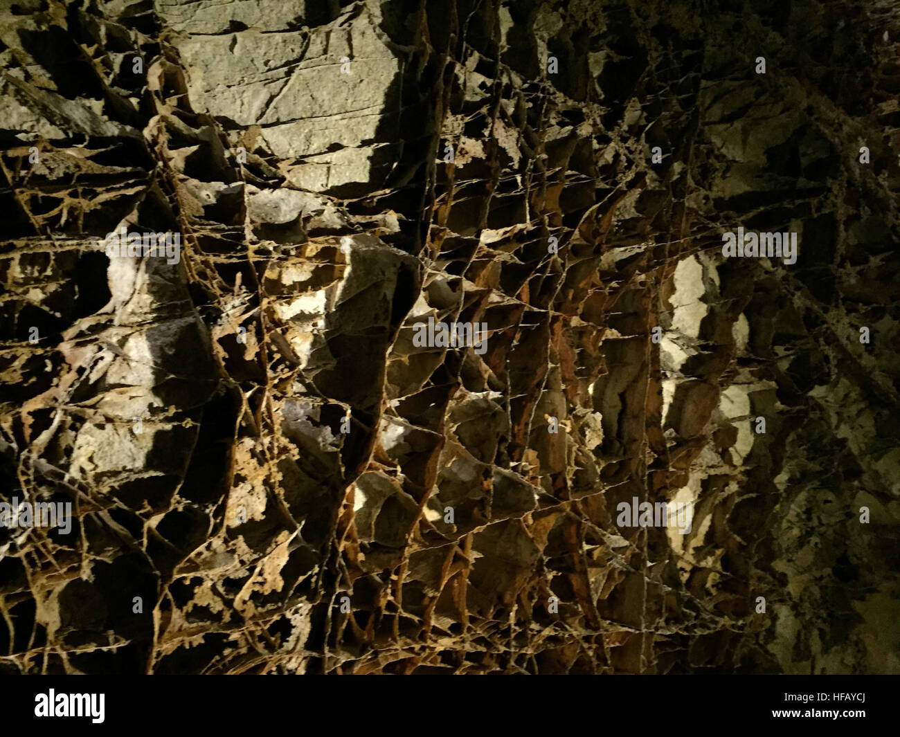 Wind cave national park boxwork hi-res stock photography and images - Alamy