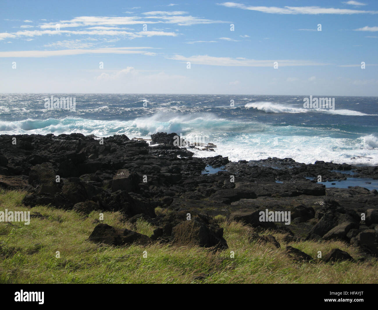 The Big Island Coast in Hawaii is renowned for its diverse ecosystems ...