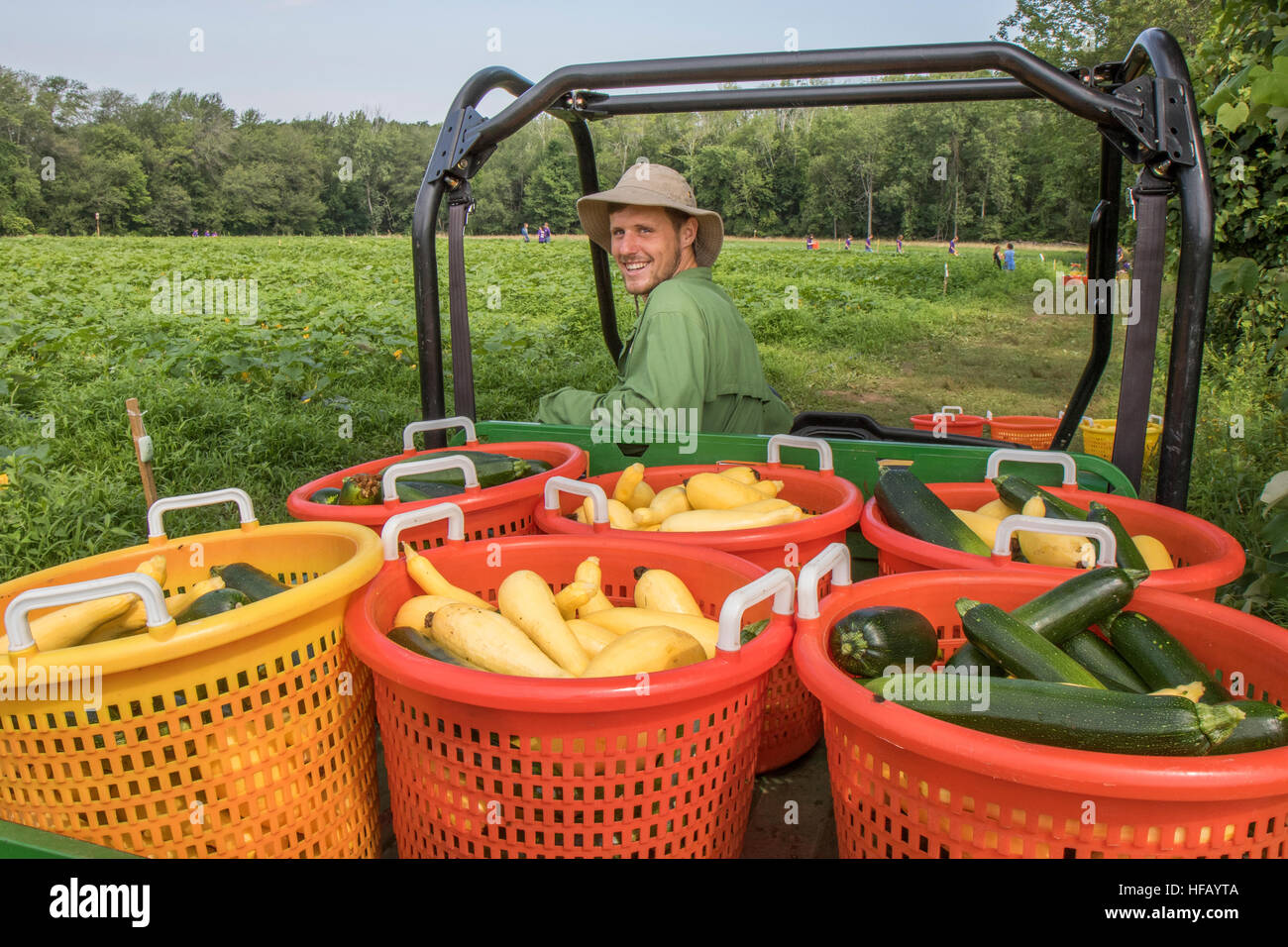 Baskets of vegetables hi-res stock photography and images - Alamy