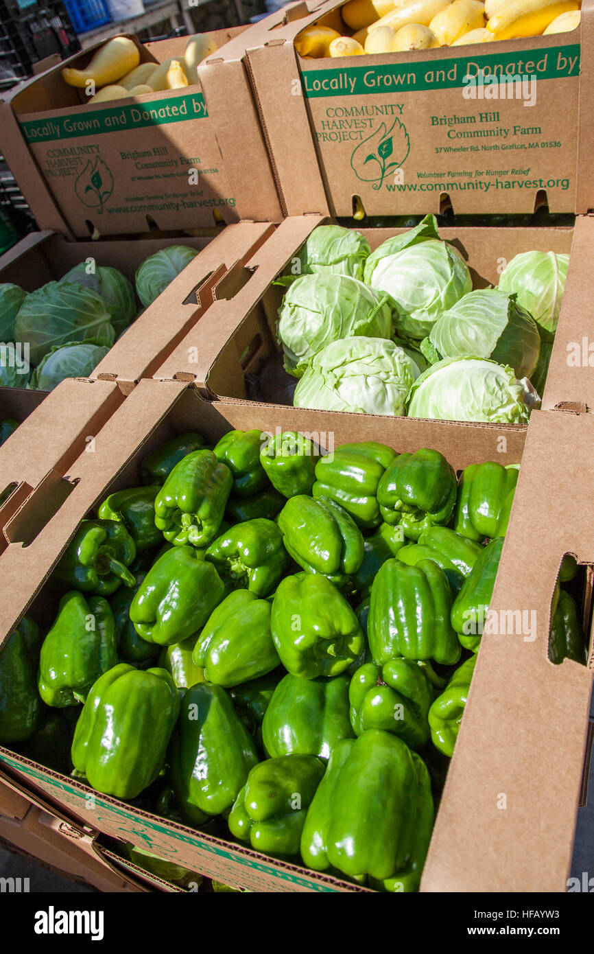 Vegetables in boxes ready for delivery Stock Photo - Alamy