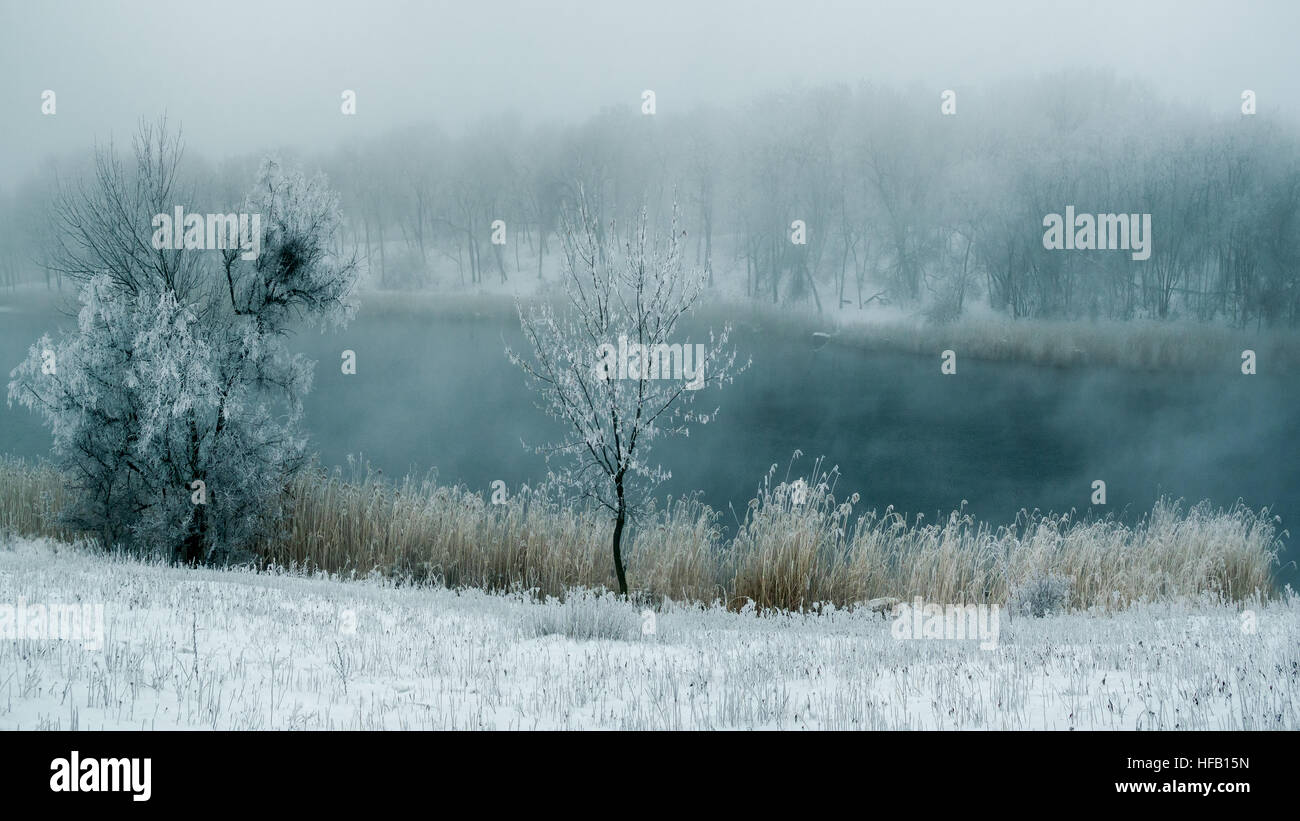 River cane hi-res stock photography and images - Alamy