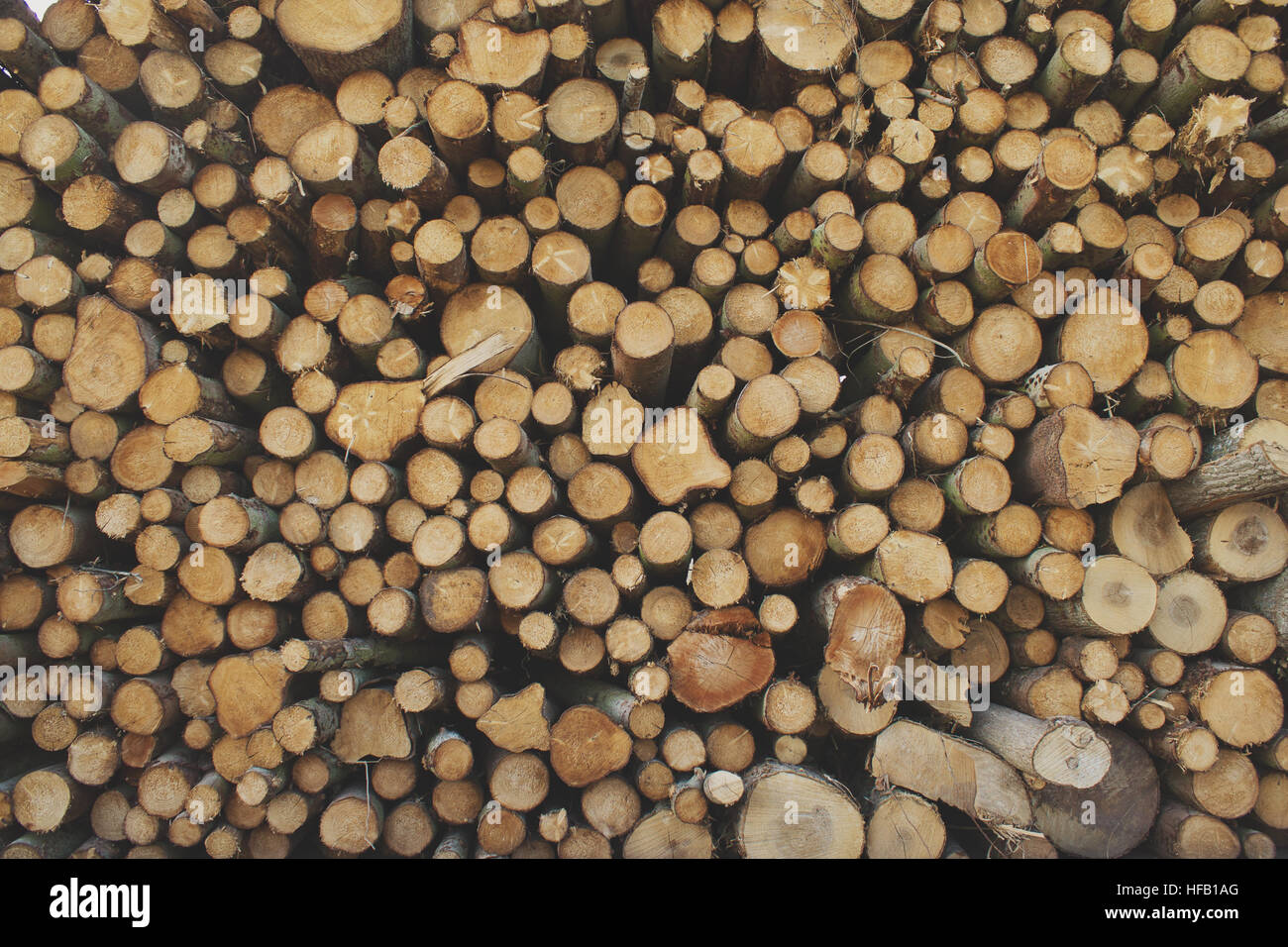 Two logs hi-res stock photography and images - Alamy