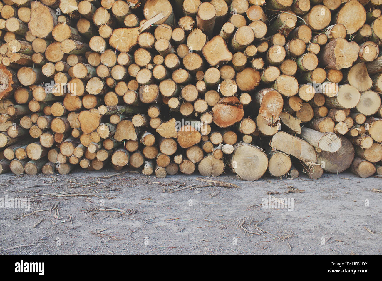 Pile of logs texture hi-res stock photography and images - Alamy