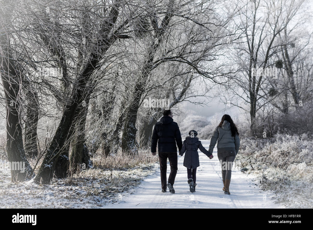 The family going for a winter walk Stock Photo - Alamy
