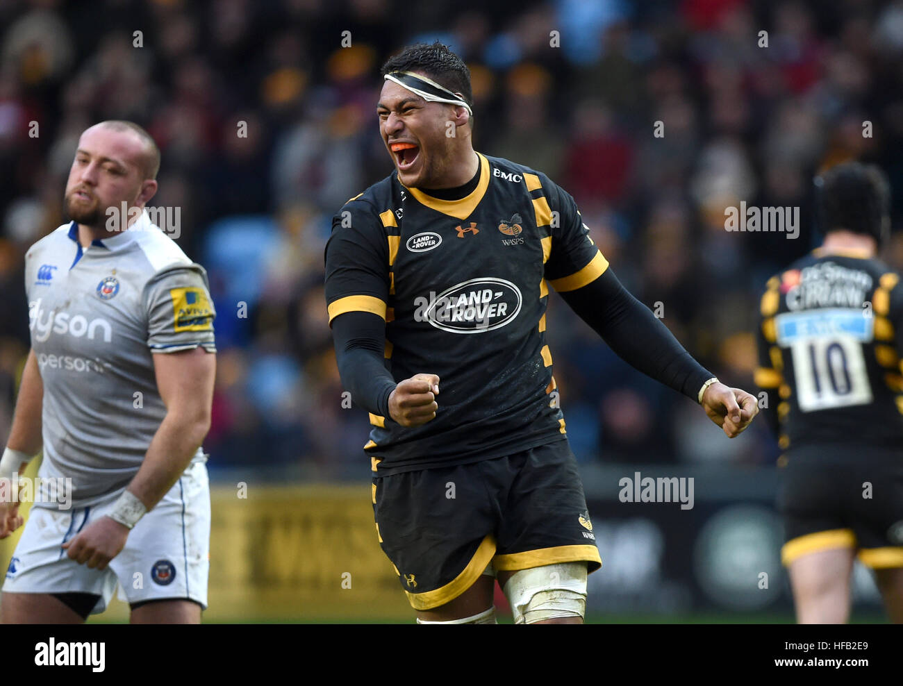 Wasps nathan hughes hi-res stock photography and images - Alamy