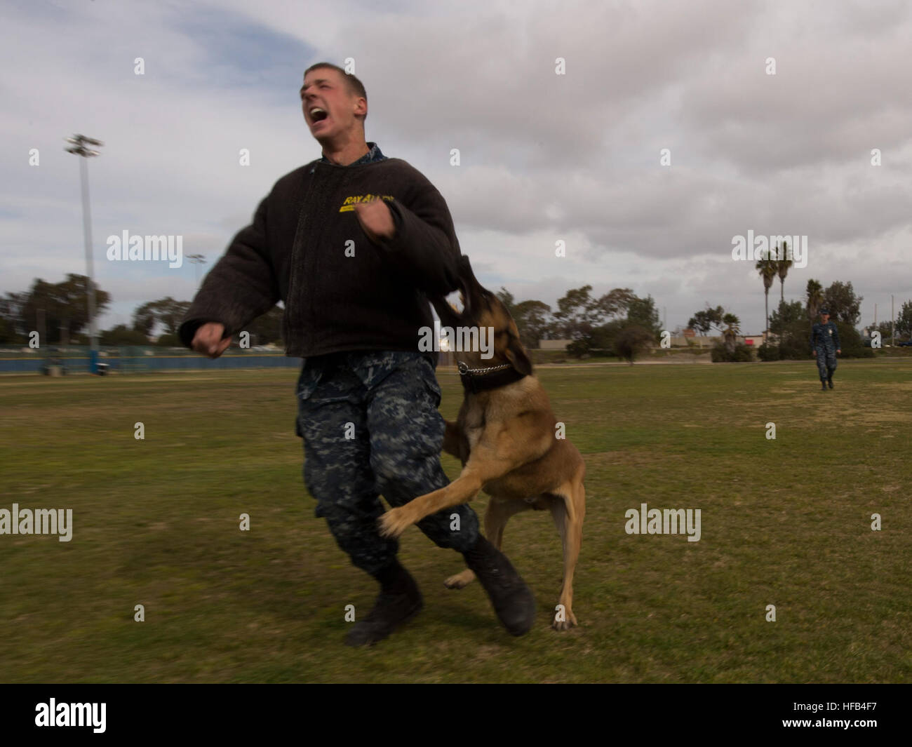A military working dog assigned to Commander, Navy Region Southwest San ...