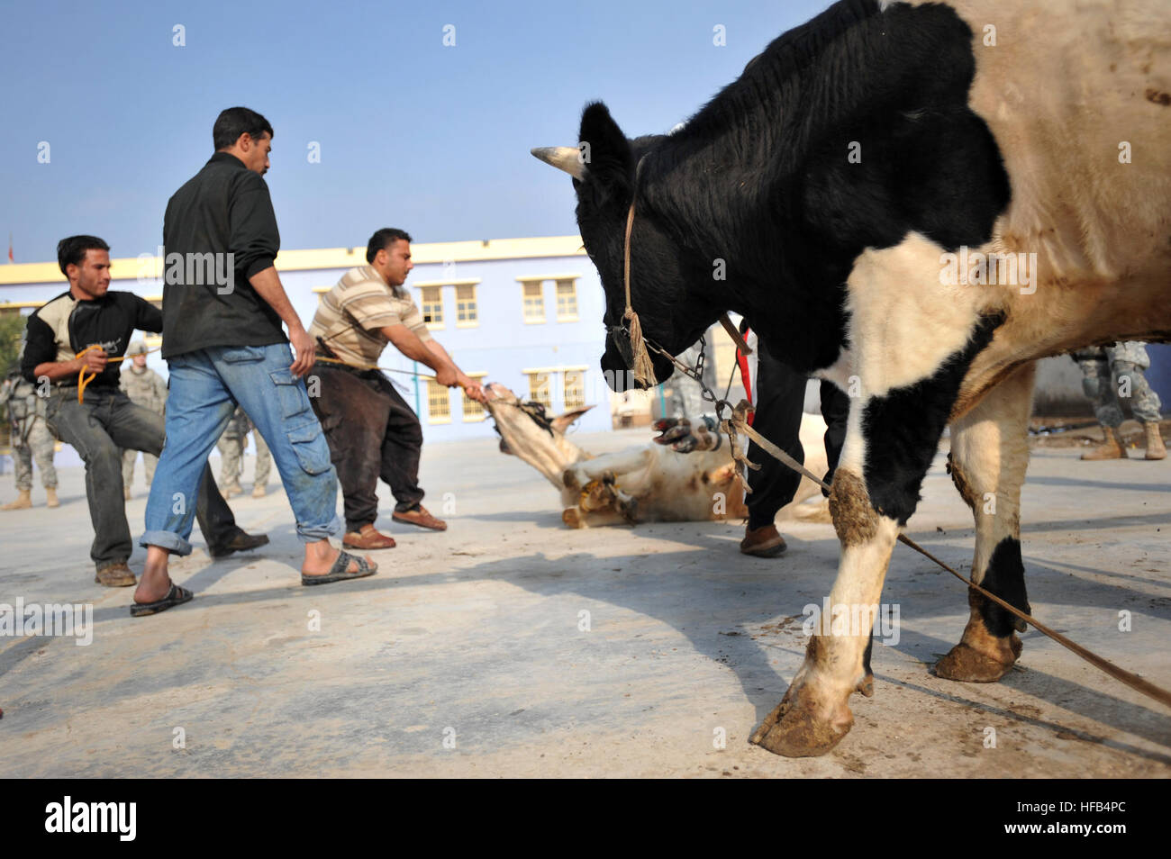 Iraqi families hi-res stock photography and images - Alamy