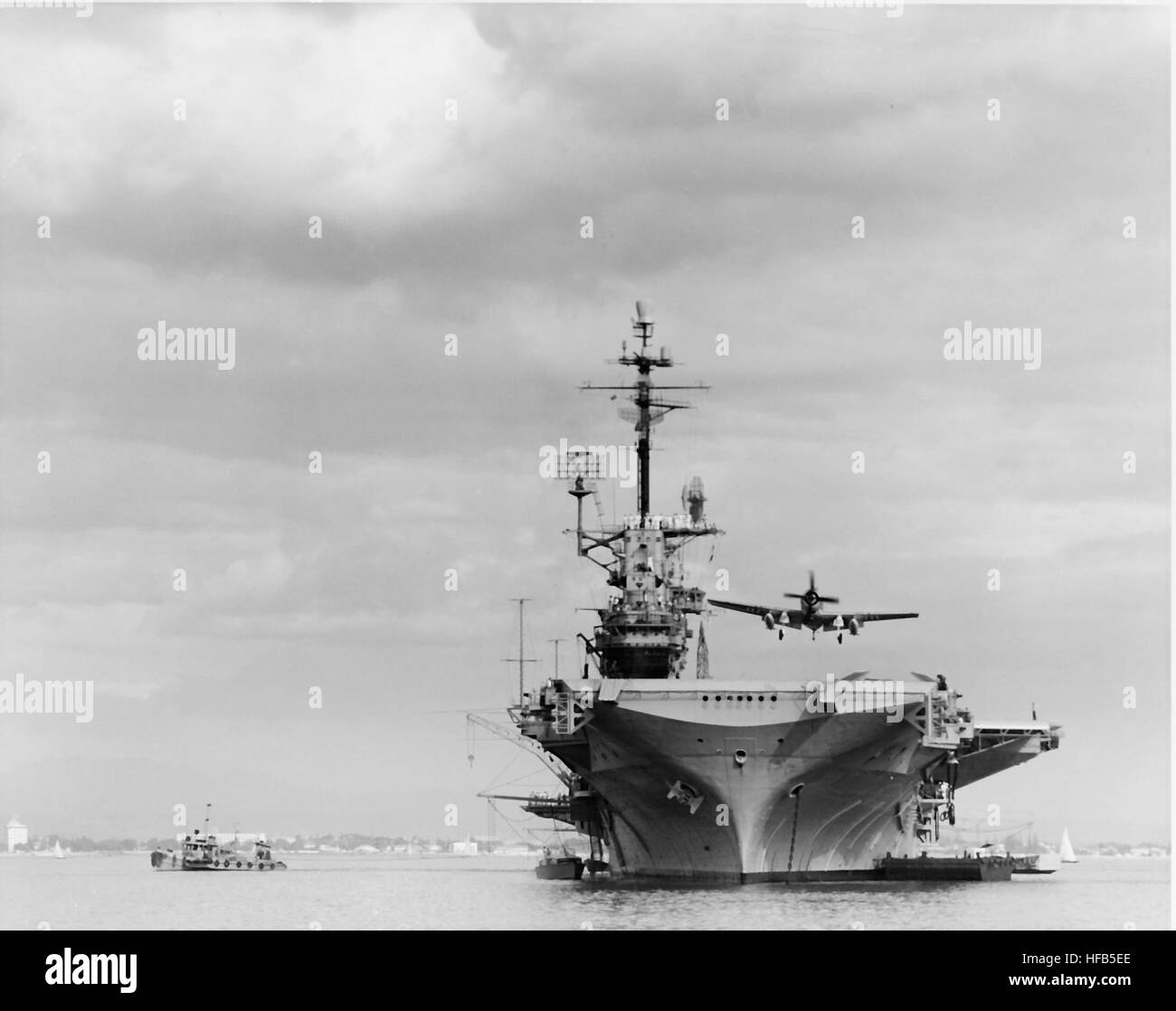 Cat 7 Black and White Stock Photos & Images - Alamy