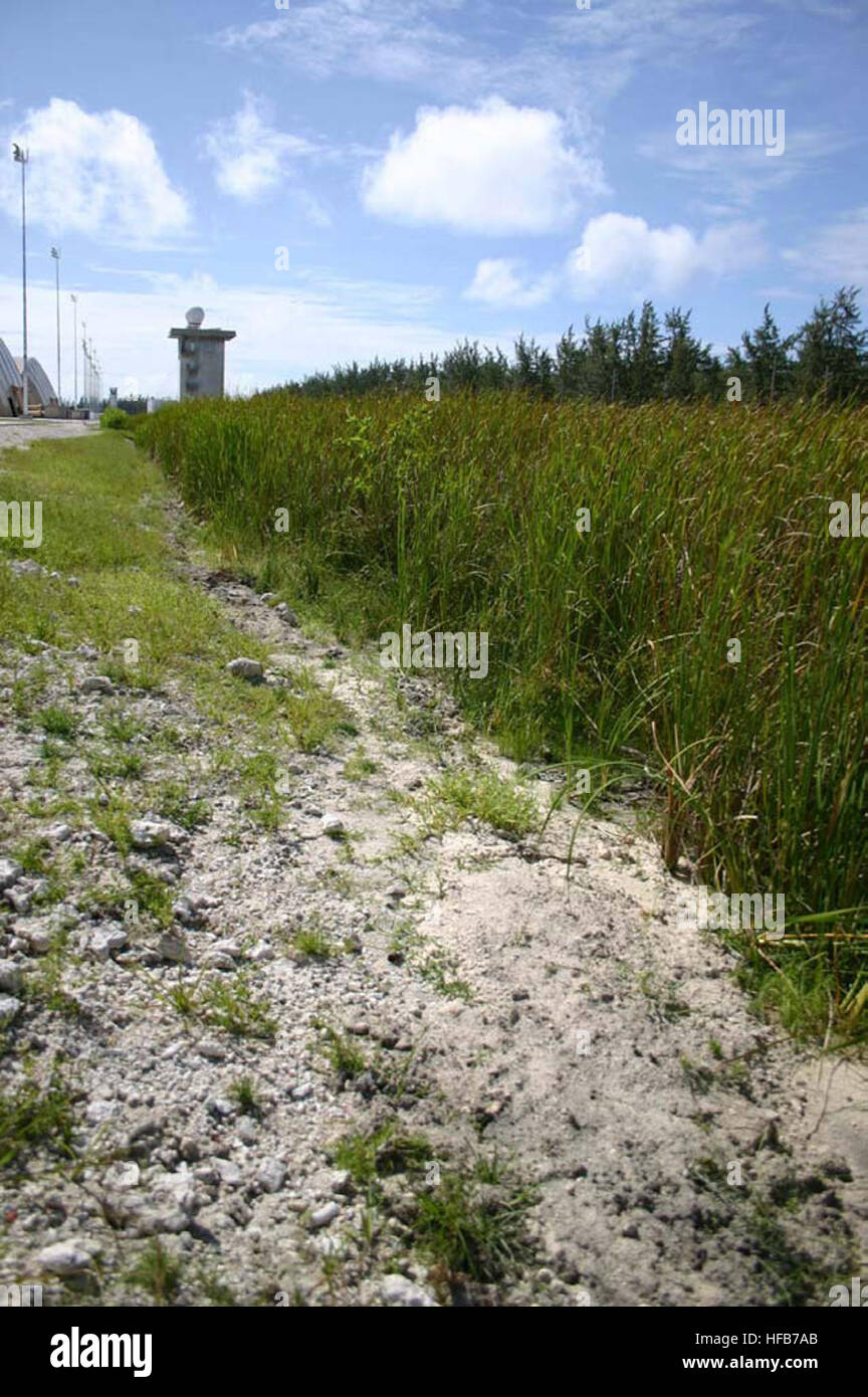 The Cattail Marsh on Diego Garcia is a coastal wetland habitat ...