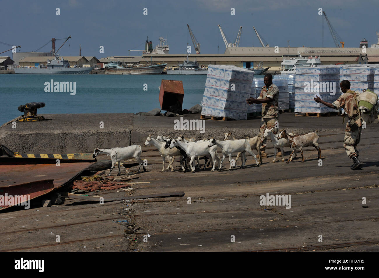 Djiboutian army soldiers transfer goats from an armored vehicle to a ...