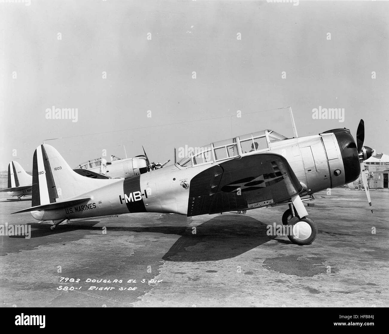 Douglas SBD-1s of VMB-1 1940 Stock Photo - Alamy