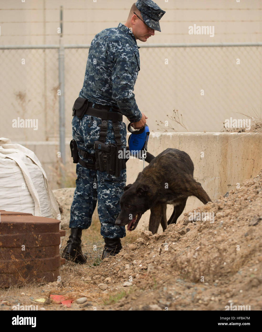Guides his military working dog hi-res stock photography and images - Alamy