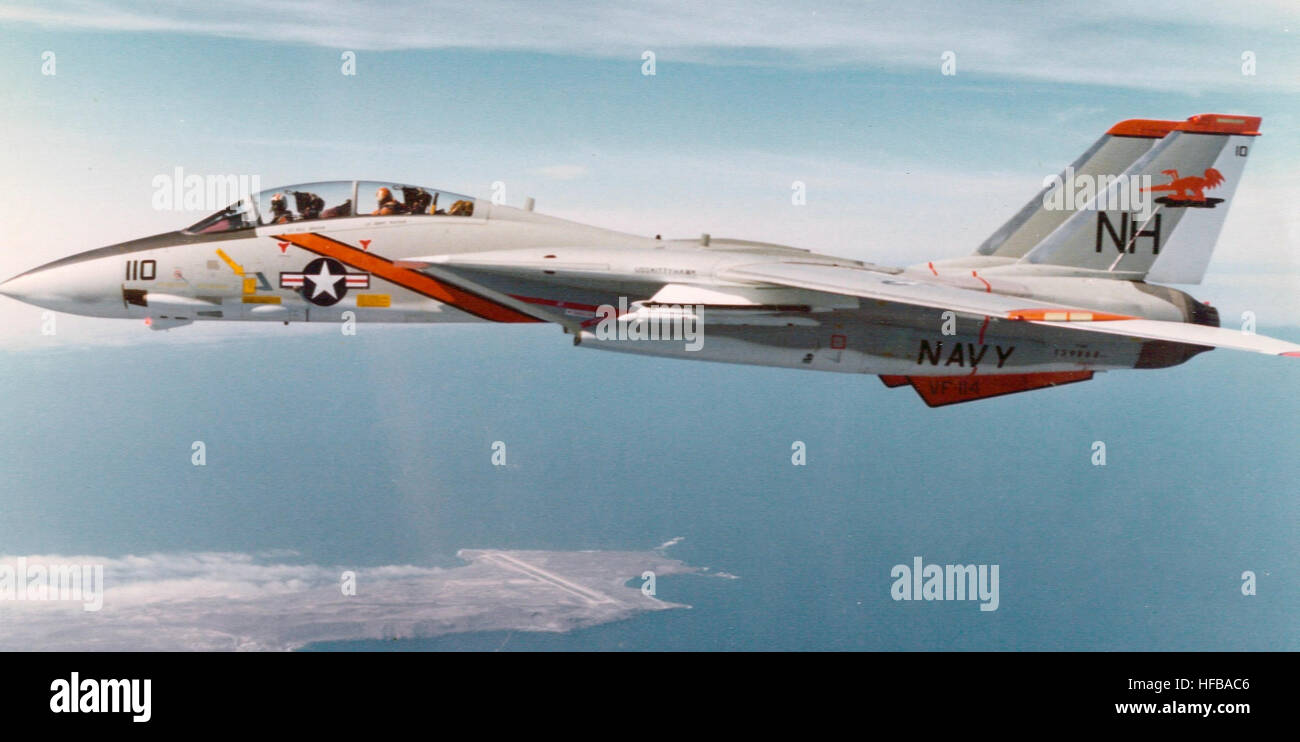 F-14A Tomcat of VF-114 in flight 1977 Stock Photo - Alamy