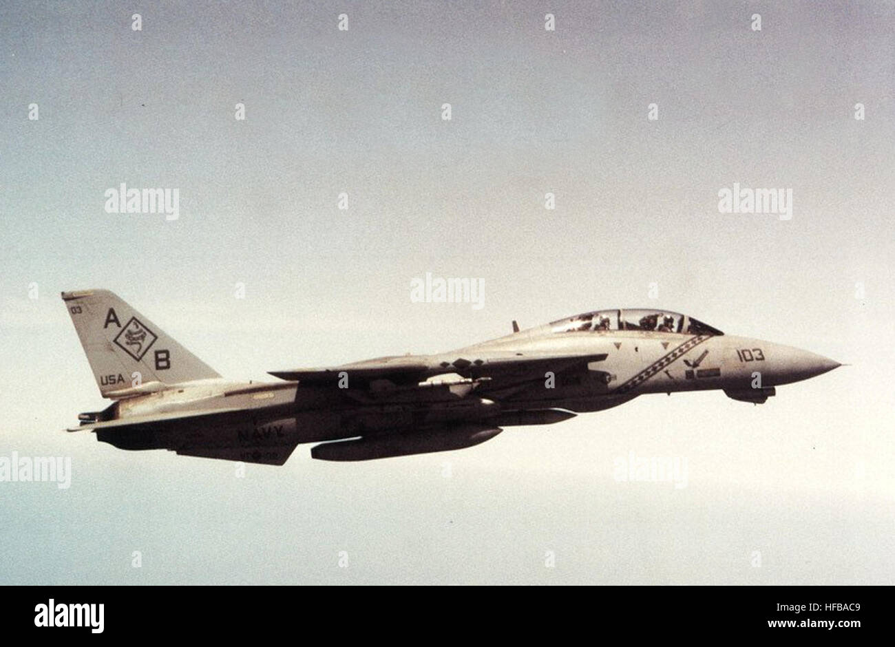 F-14A Tomcat of VF-102 in flight c1992 Stock Photo - Alamy
