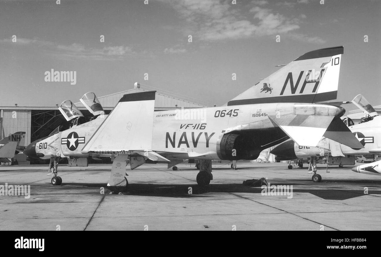 An F-4G Phantom aircraft from VF-116 squadron conducts flight ...