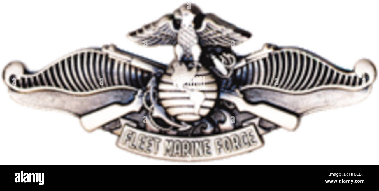 Fleet Marine Force Enlisted Warfare Specialist Device Stock Photo - Alamy