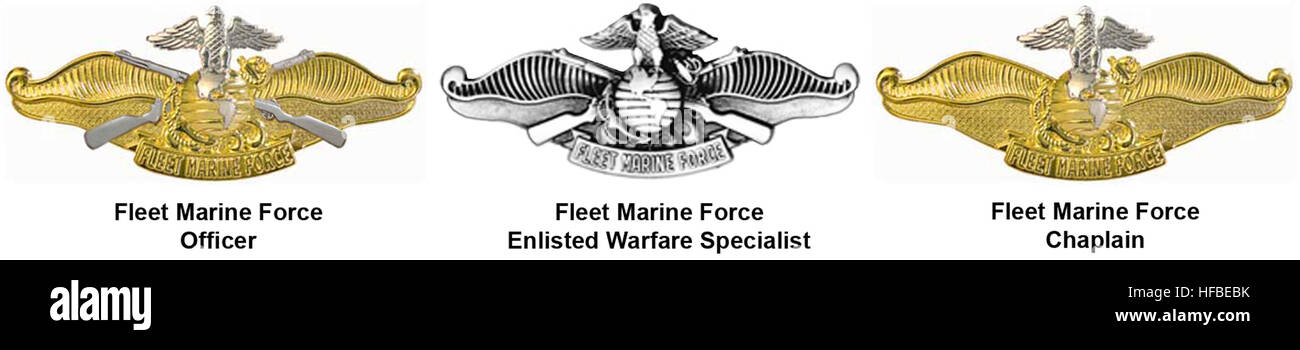 Fleet Marine Force insignia used in the US Navy Stock Photo - Alamy
