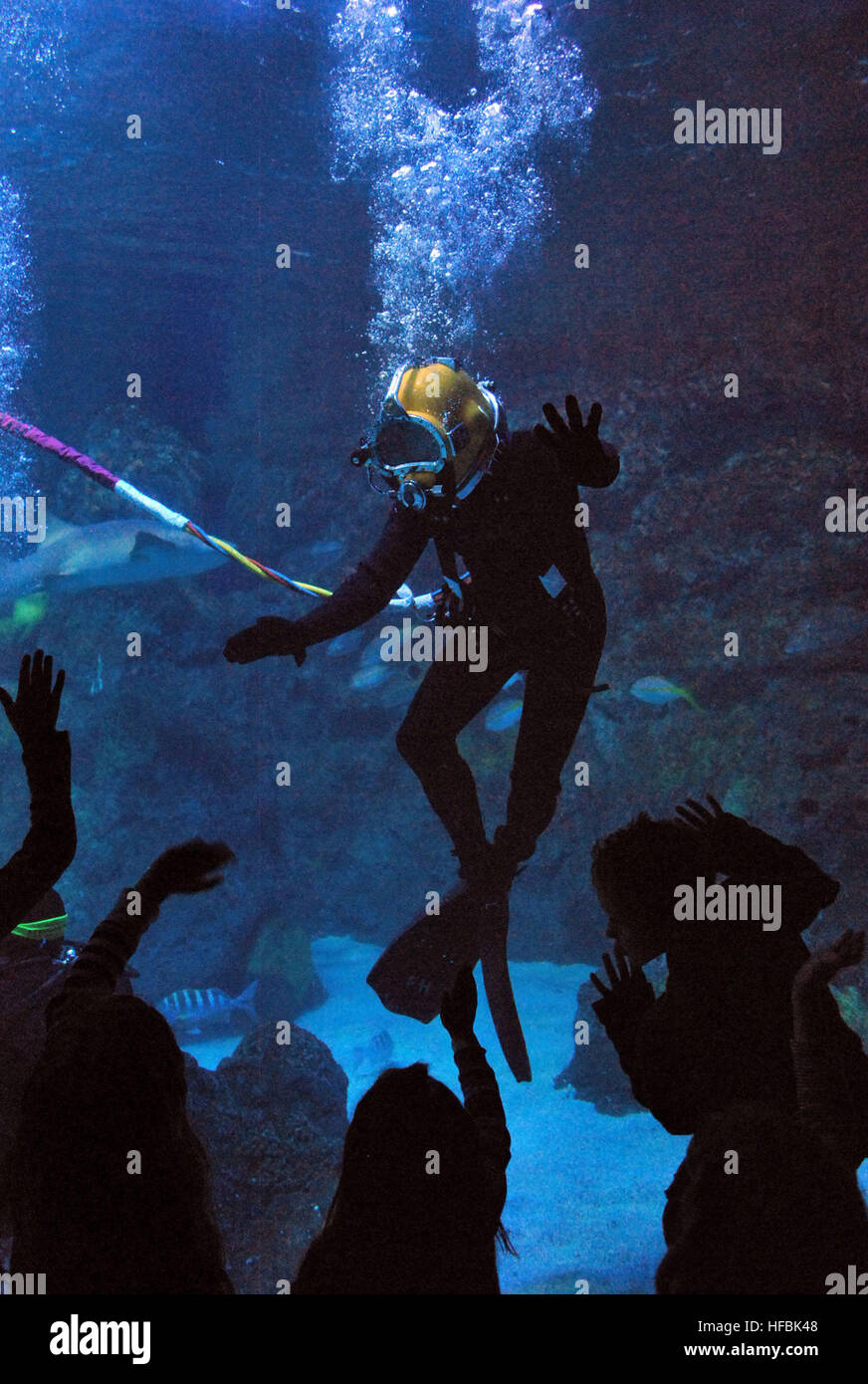 David Morin The Navy Diver