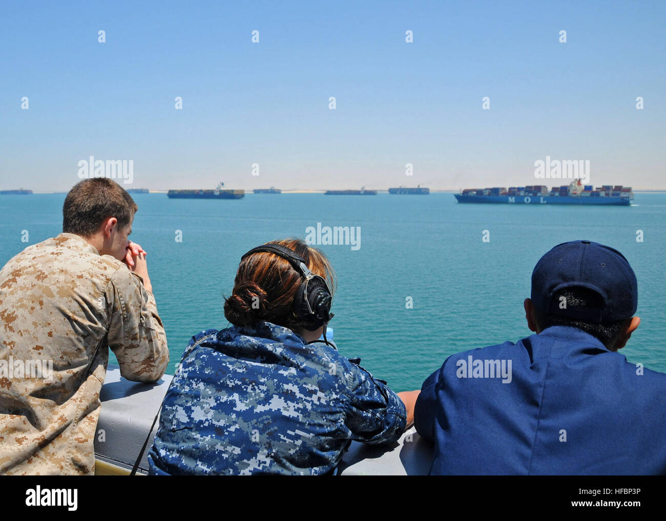 Felicia felicia sp hi-res stock photography and images - Alamy