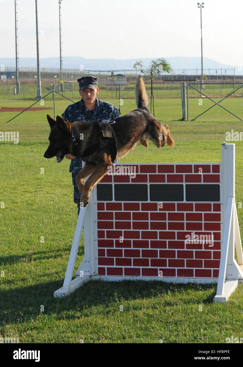 Military working dog sigonella naval air station hi-res stock ...