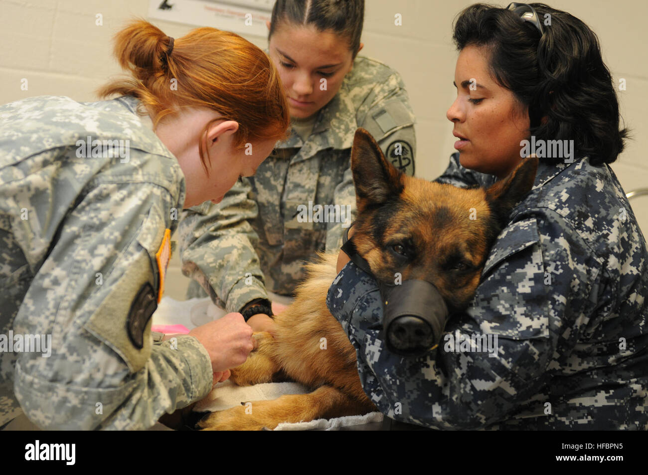 Guantanamo bay cuba navy master at arms hi-res stock photography and ...