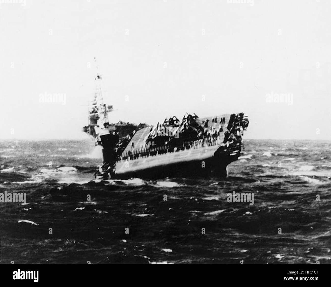 Lunga point hi-res stock photography and images - Alamy