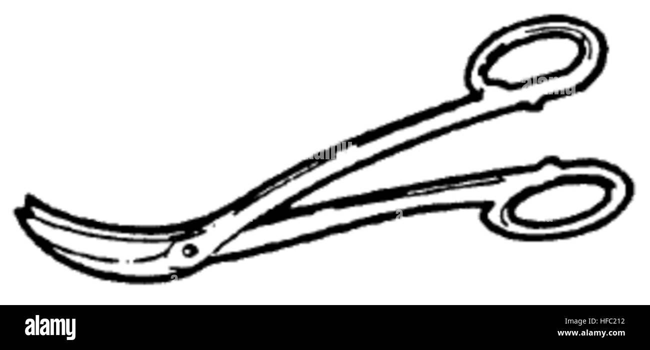 Hawk's bill snips Stock Photo - Alamy