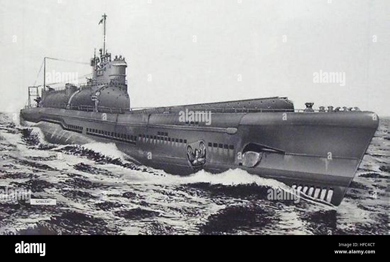 Inus hi-res stock photography and images - Alamy