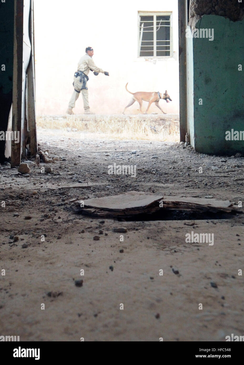 An Iraqi police dog leads his handler while they search for explosive ...