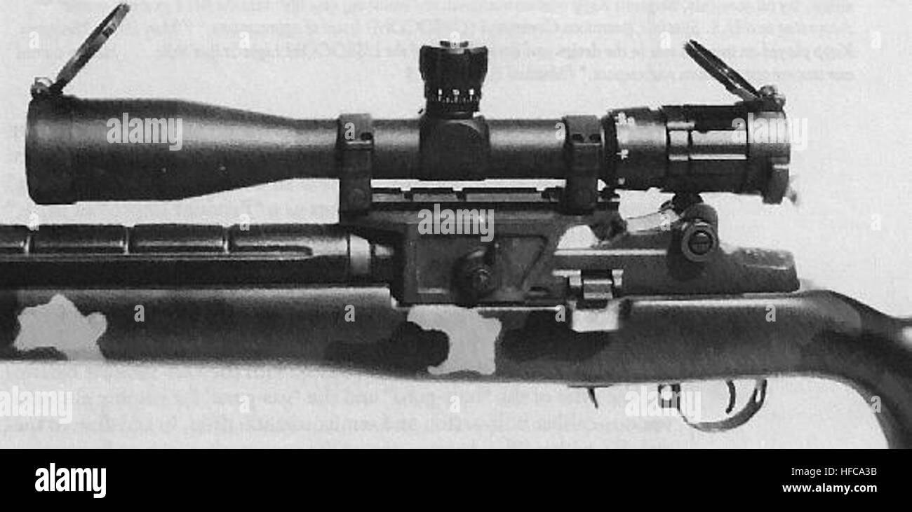 M25 rifle 2 Stock Photo - Alamy