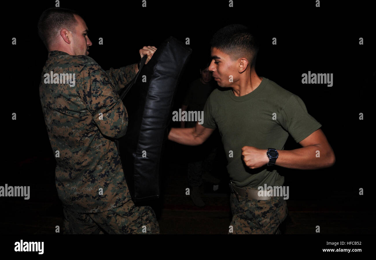 Pfc. Luis Ramirez demonstrates proper martial-arts maneuvers while ...