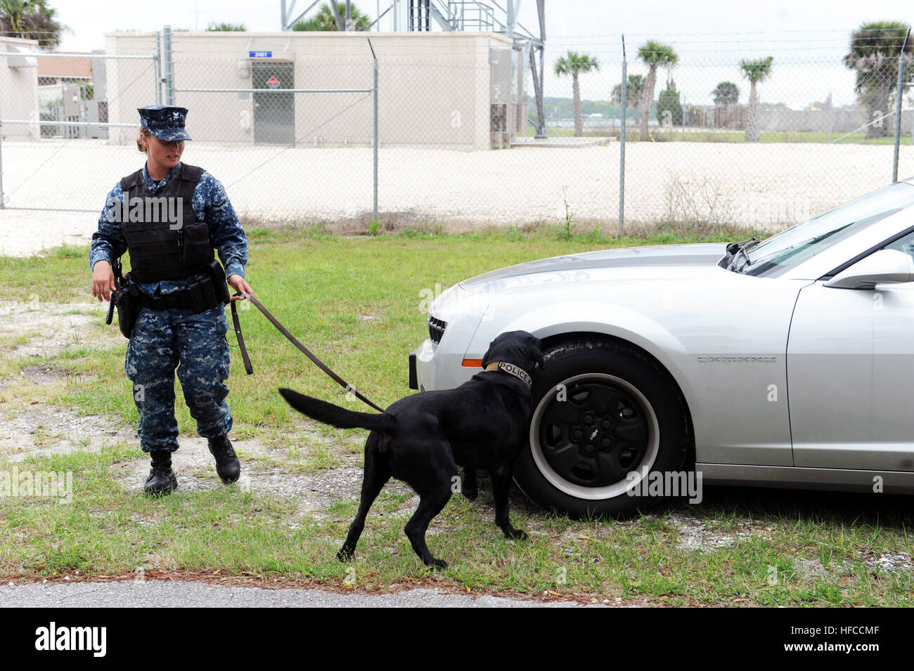 Weapon detection dog hi-res stock photography and images - Alamy