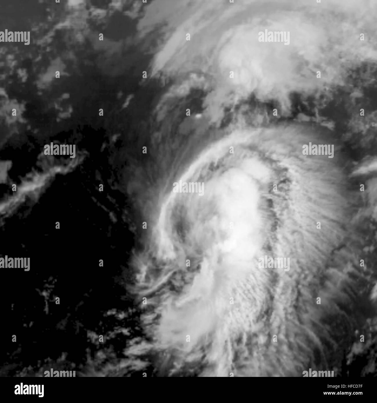 Molave hi-res stock photography and images - Alamy