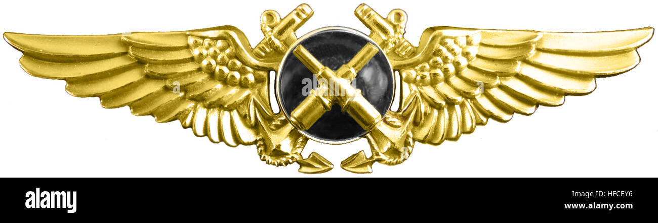 Naval Aviation Observer (Tactical) Insignia Stock Photo - Alamy