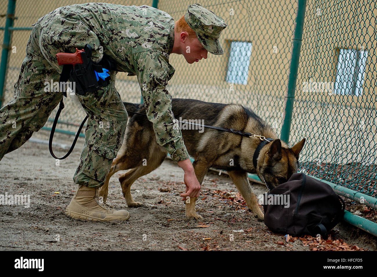 Master-at-Arms 3rd Class Luke Alvarez and military working dog (MWD ...
