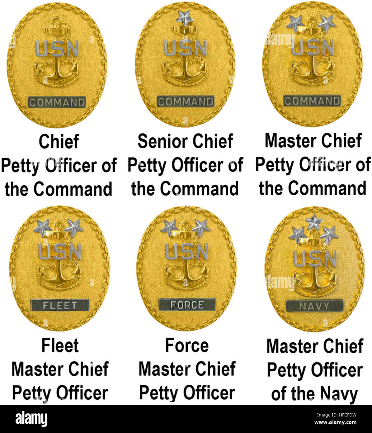 Leadership technical personnel in hi-res stock photography and images ...