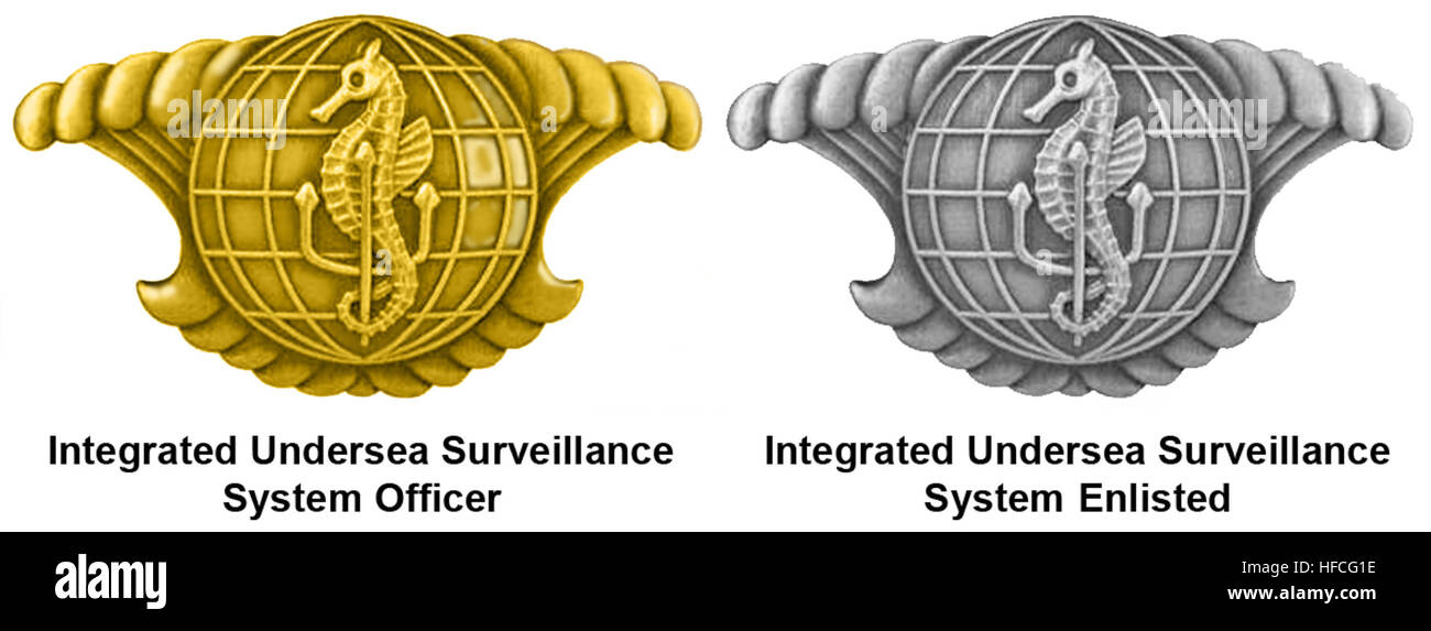 Navy Integrated Undersea Surveillance System Insignia Stock Photo - Alamy