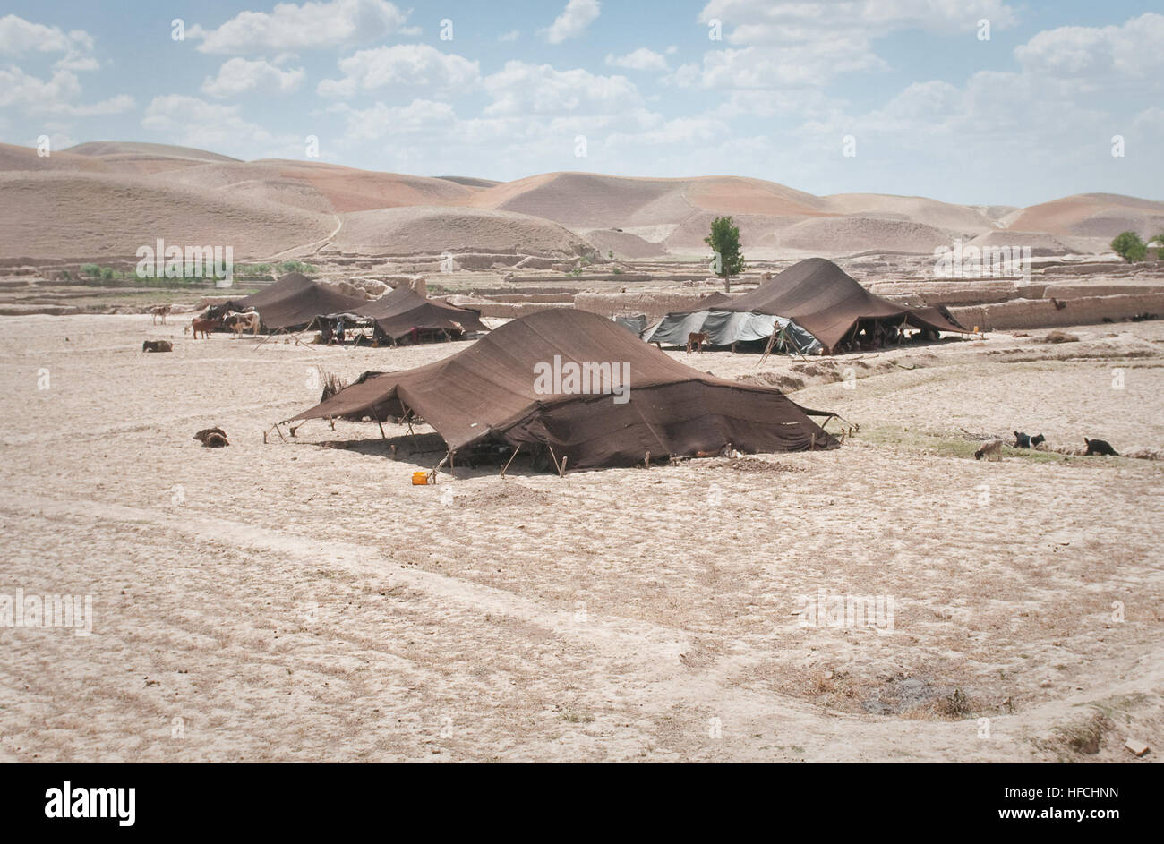 Badghis hi-res stock photography and images - Alamy