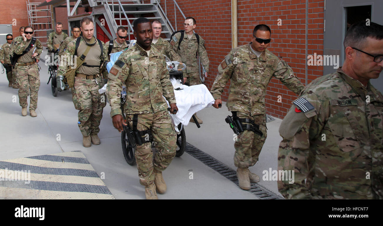 Nato role 3 multinational medical unit hi-res stock photography and ...